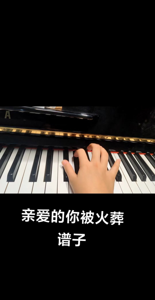 亲爱的你原唱图标