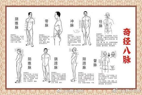 奇经八脉一共几丹图标