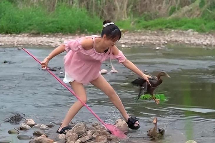 不敢抓鸭子的人图标