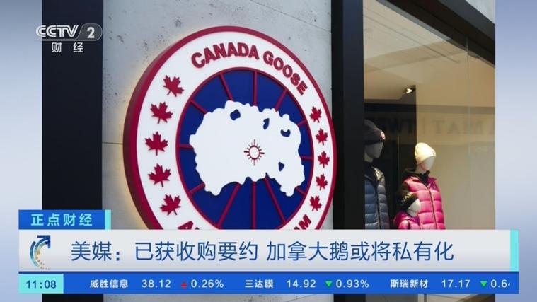加拿大大鹅图标
