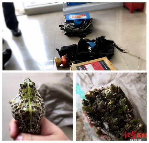 抓70只图标