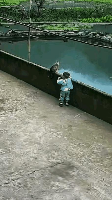 蹦蹦跳跳的走着对吗截图