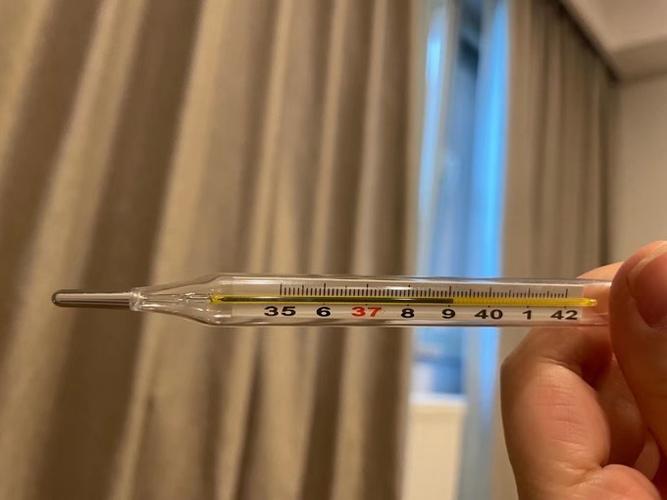耳朵温度39度额头37度图标