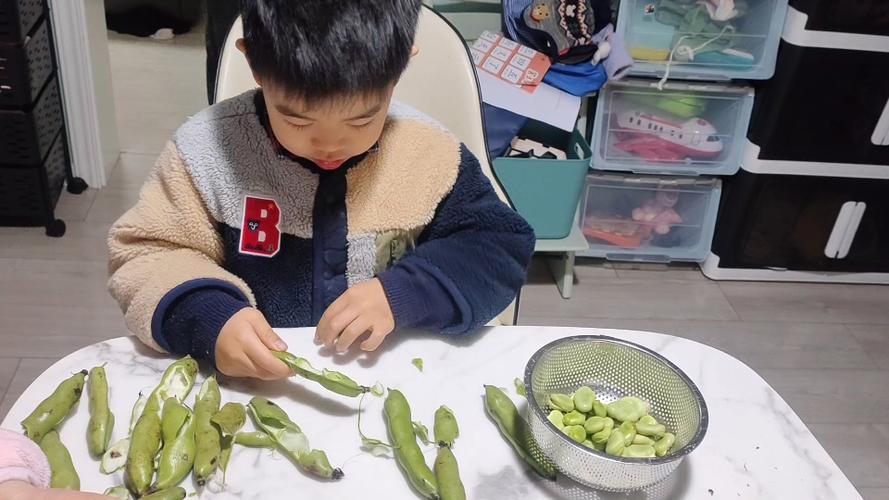 剥好的蚕豆保存方法截图