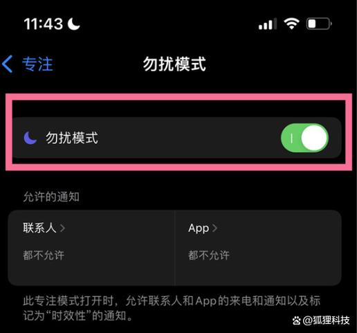 苹果11游戏免打扰模式怎么设置图标