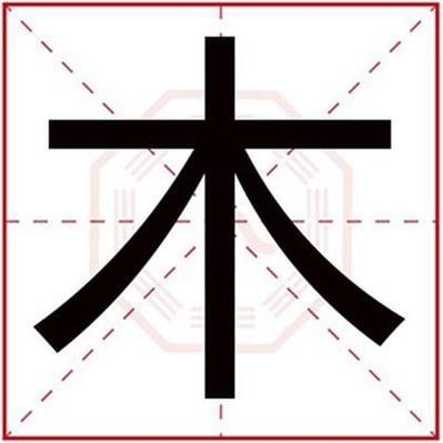 木字多一撇念啥字图标