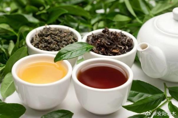 zerooolongtea翻译截图