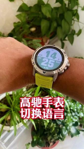 手表手机英文转换中文版图标
