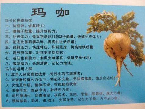 玛卡的功能主治