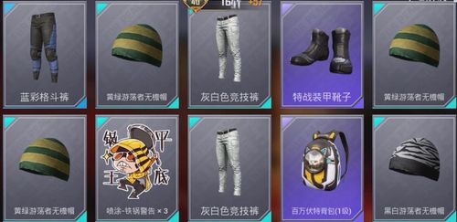 和平精英猫咪背包怎么获得图标