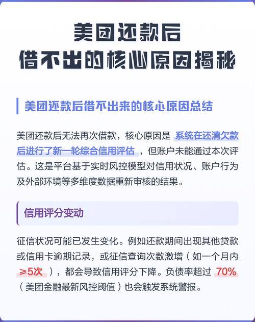 美团还款后为什么借不出来了截图
