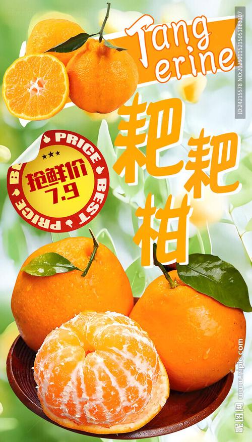 橘子创意广告语图标