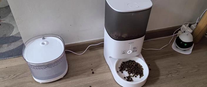 猫自动喂食器怎么设置图标