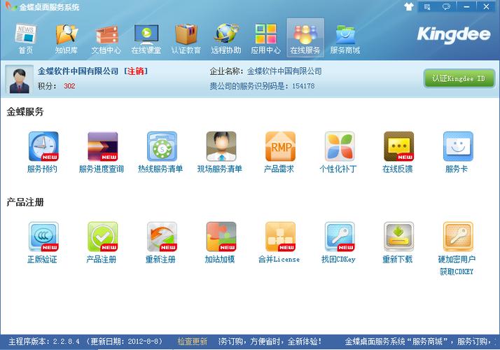 金蝶有几个版本系统图标