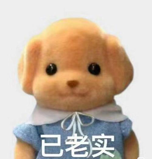 憨厚老实表情包图标