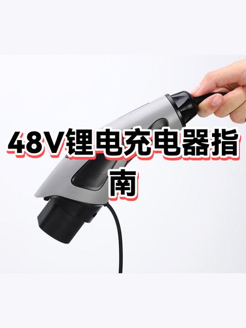 电动车锂电充电器哪个牌子好图标