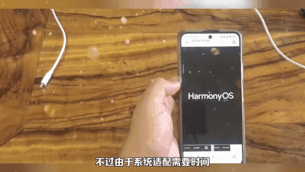 小米手机能刷鸿蒙系统吗图标