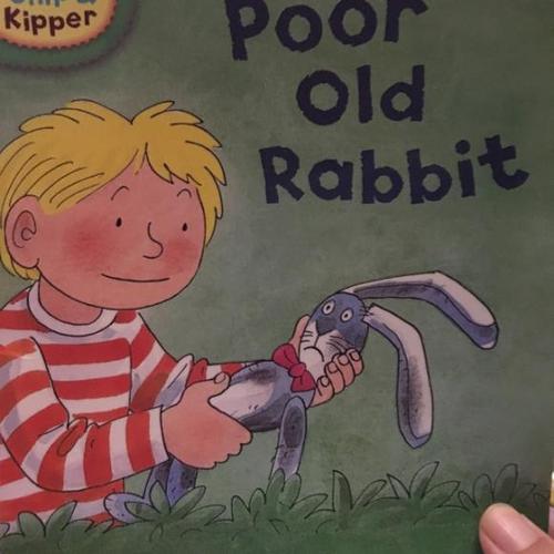 poor old rabbit