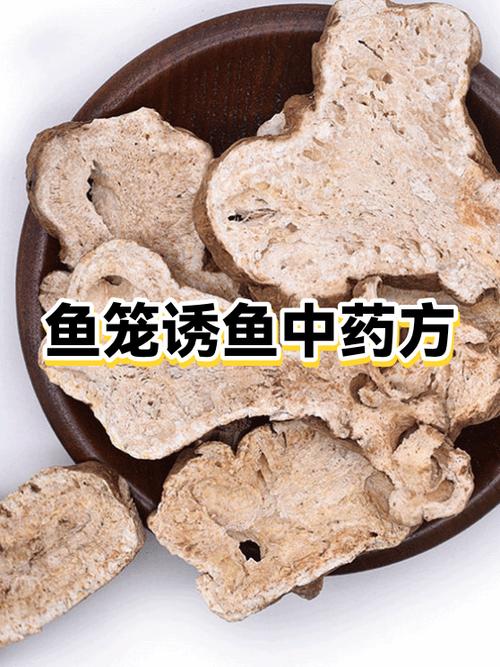 民间诱鱼偏方截图