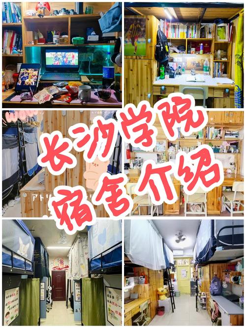 清茗学院差不多截图