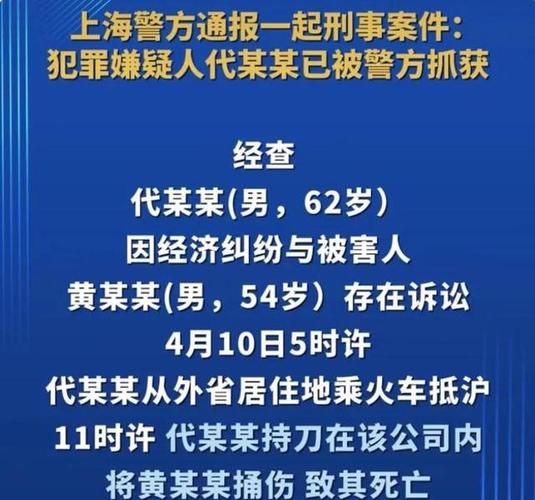 上海刑事案件查询网上查询图标
