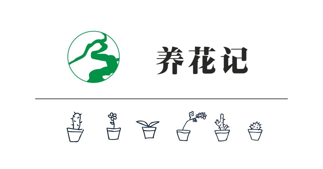 养花赚钱APP图标