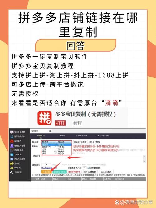 拼多多链接在哪里打开图标