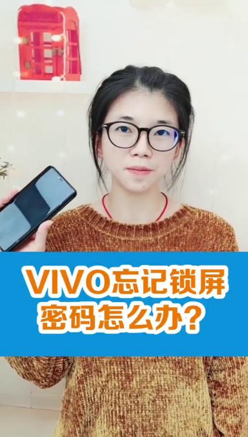 vivo清除所有数据时需要密码截图
