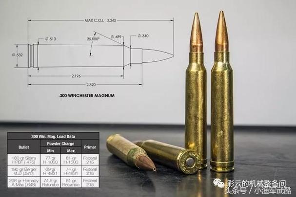 吃鸡哪个枪100发子弹图标