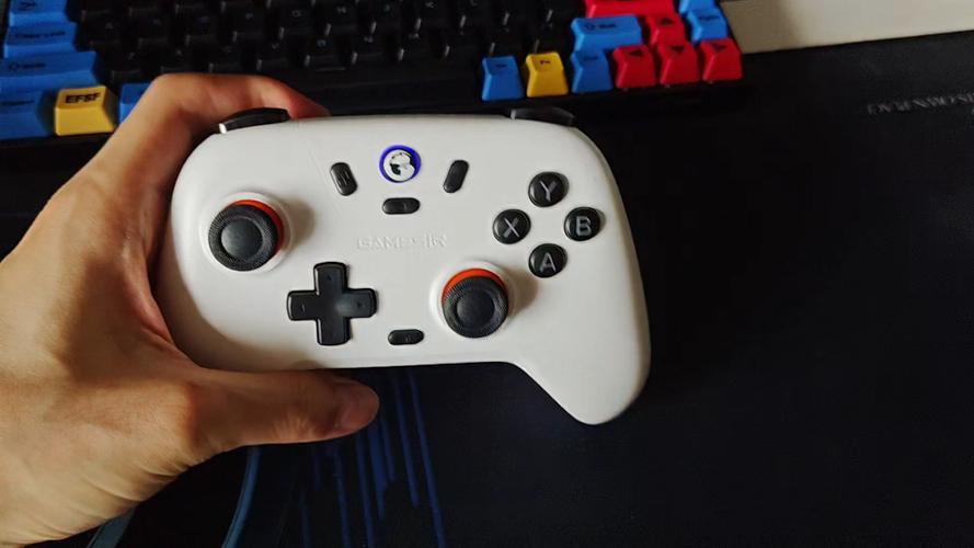小鸡模拟器 xbox手柄图标