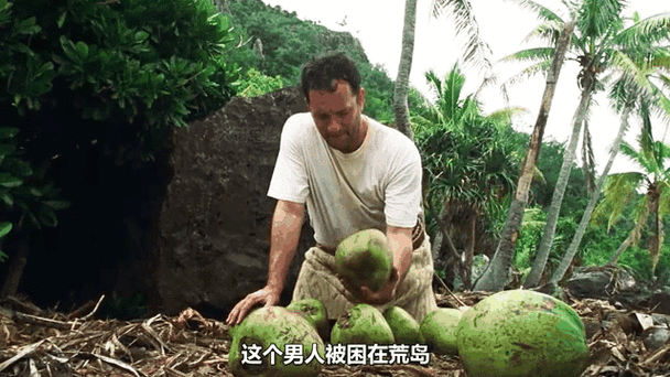 荒岛上有个特种兵截图