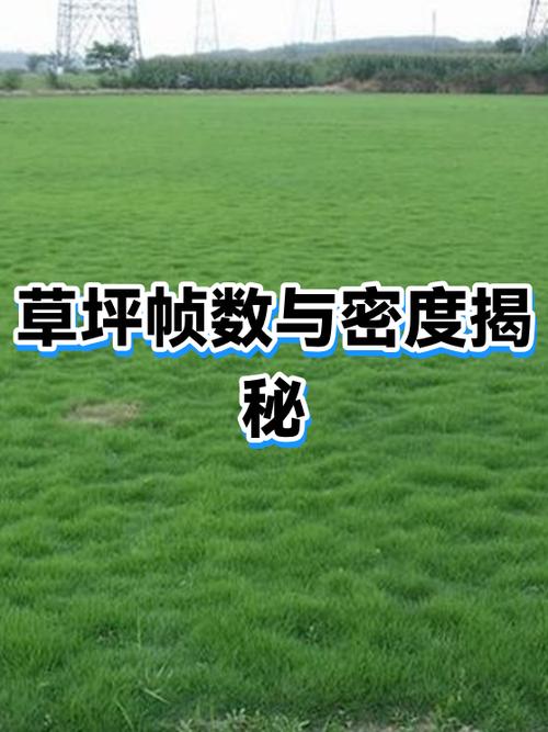 90帧和120帧有什么区别图标