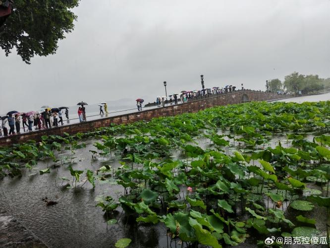 断桥雨图标