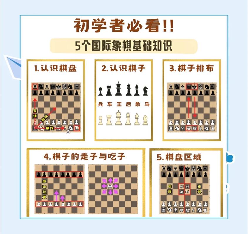 国际象棋儿童入门图标