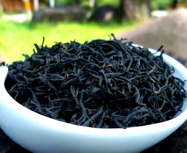 野生茶叶的种类图片图标