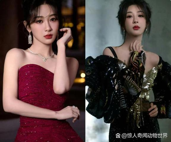 星光大赏杨紫图标