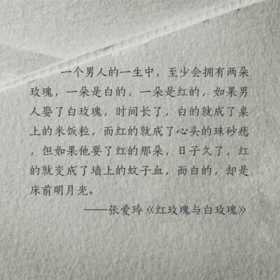 红玫瑰和白玫瑰的故事图标