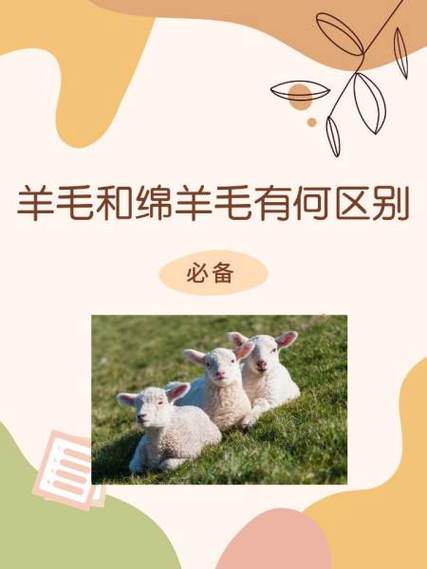 100%绵羊毛和100%羊毛一样吗图标