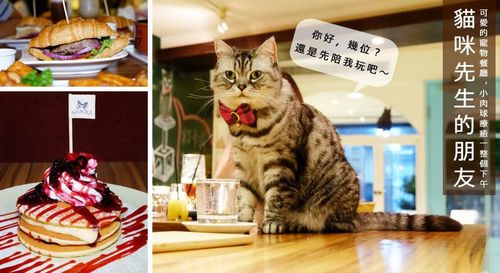 猫咪动物餐厅内置菜单图标