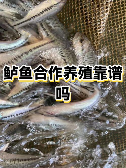 合作养殖靠谱吗图标