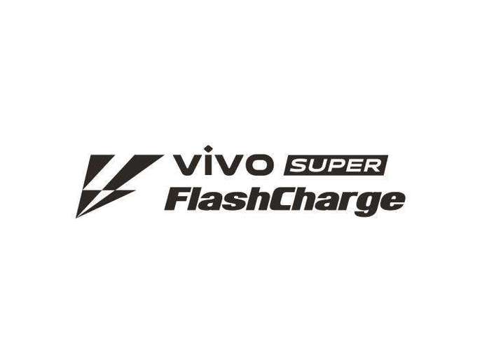 flashcharge是快充还是闪充图标