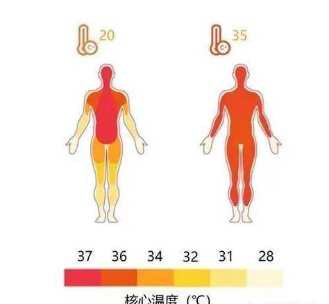 人体温度低温怎样处理图标