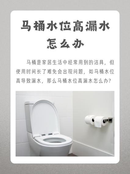 冲厕器漏水怎么办截图