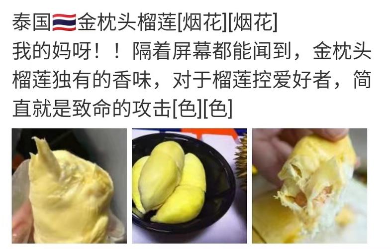 吃榴莲的快乐文案短句图标
