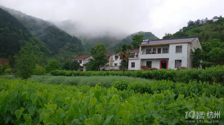 回到山村任逍遥图标