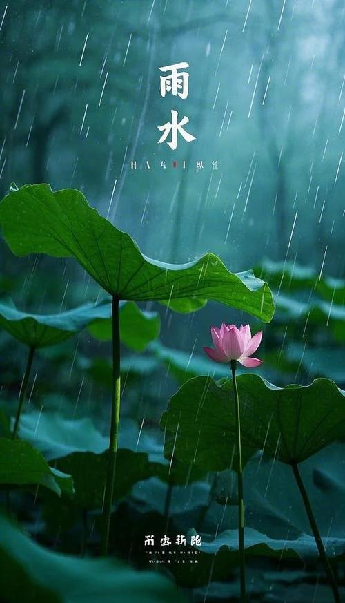 2026年雨水为什么这么多呢图标