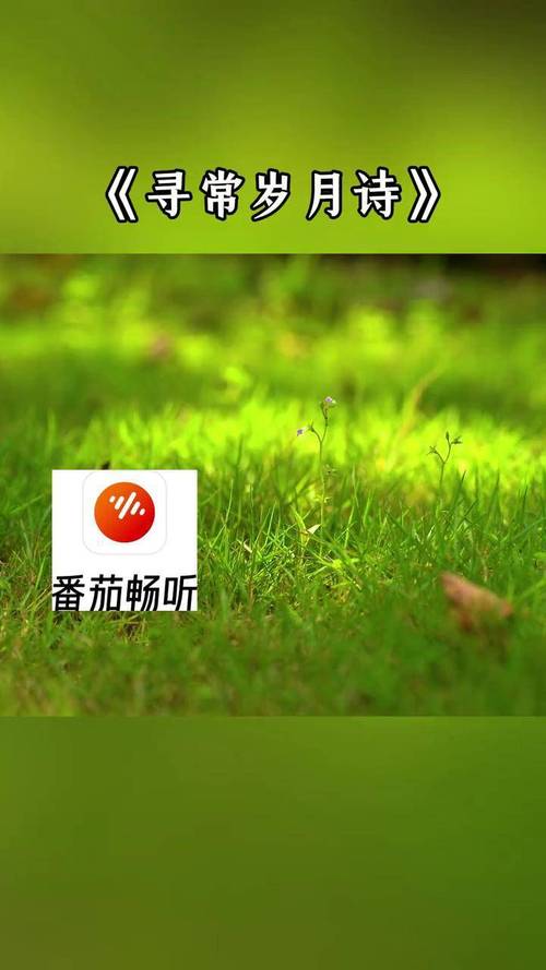 番茄客服图标