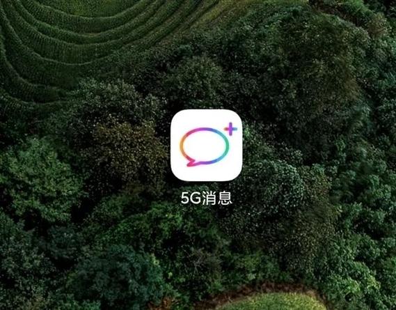 5g网出了4g还能用吗图标