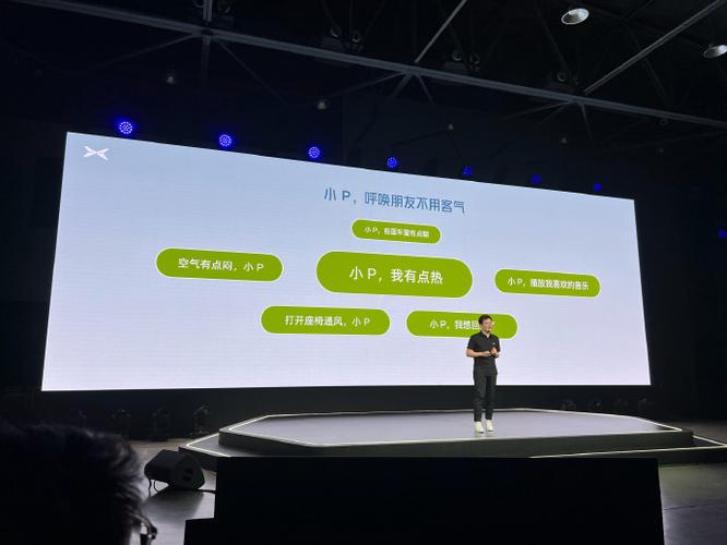 小鹏p7怎么授权给别人图标