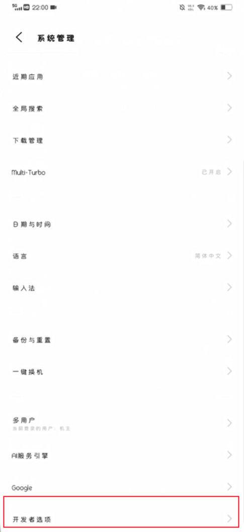 iqoo手机开发者模式图标